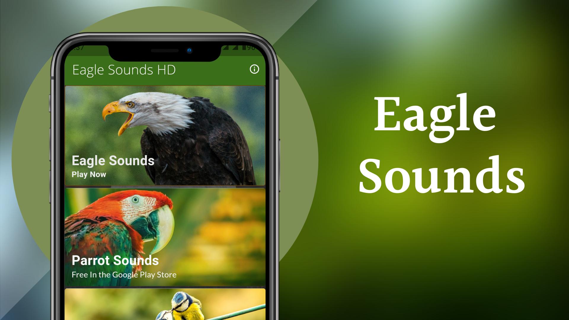 Download Eagle Sounds android on PC