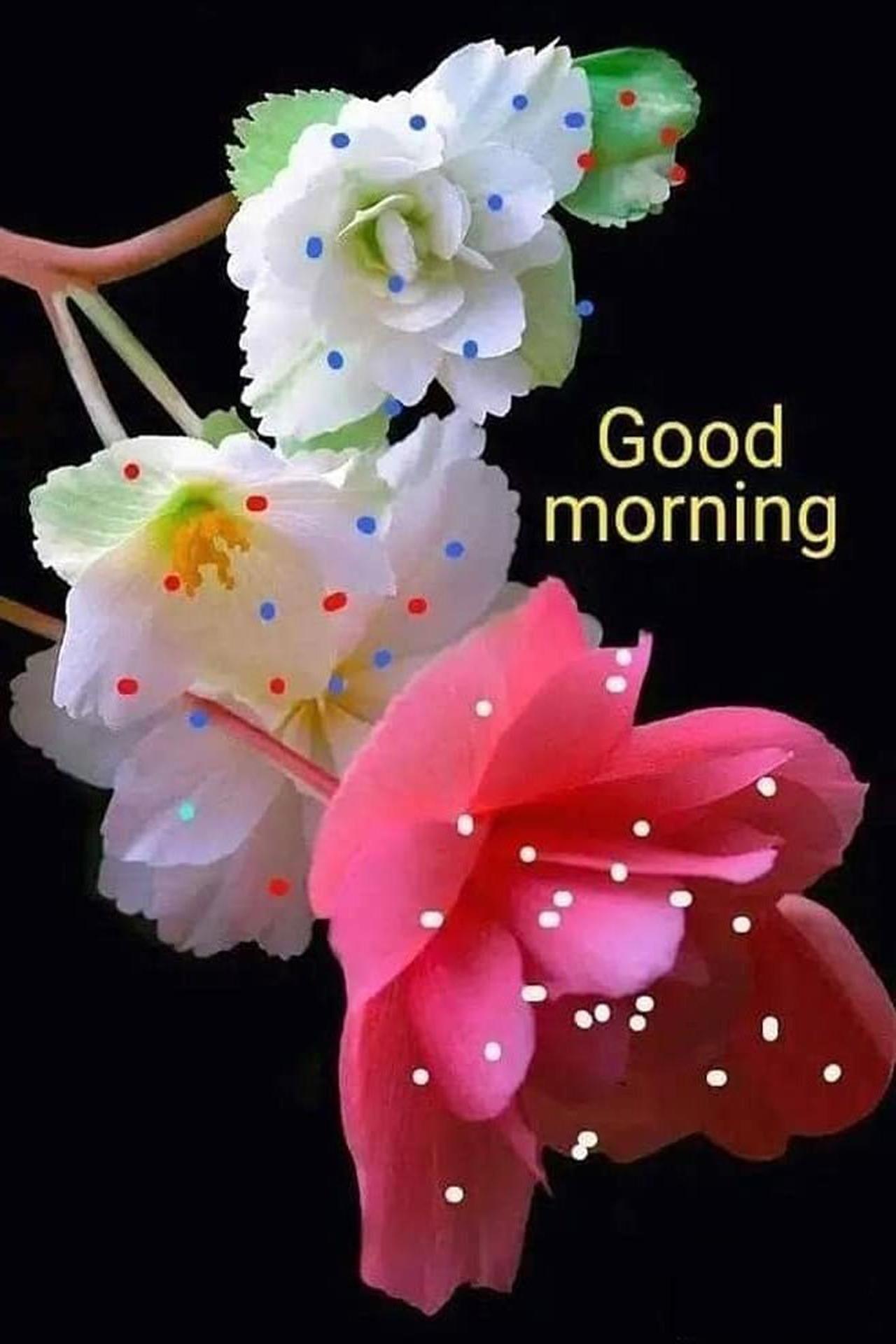 Descargar Beautiful Morning Flowers 4k en PC | GameLoop Oficial