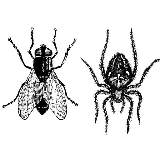 Download What the Buzz 2 Player android on PC