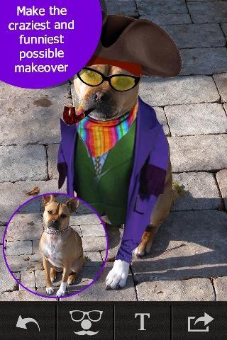 Download Pet Photo Editor - Funny & Live Color Effect Maker android on PC