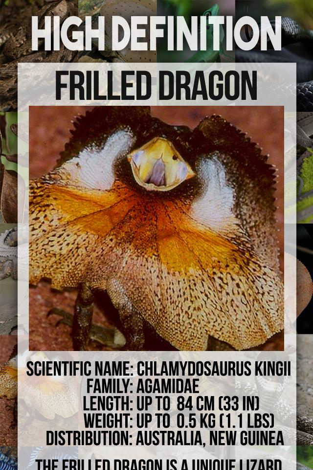 在電腦上下載Reptile Animal Encyclopedia | GameLoop官方網站