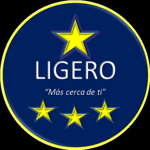 Descargar ligero en PC | GameLoop Oficial