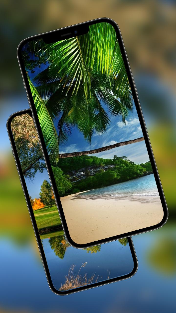 Descargar Wallpaper Graceful en PC | GameLoop Oficial