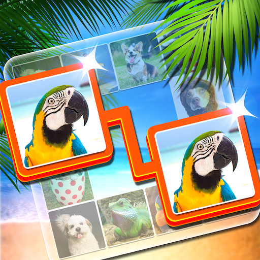 Download PairScapes: Pair Matching Game android on PC