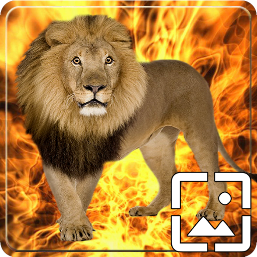 Download Lion Wallpapers Hd android on PC