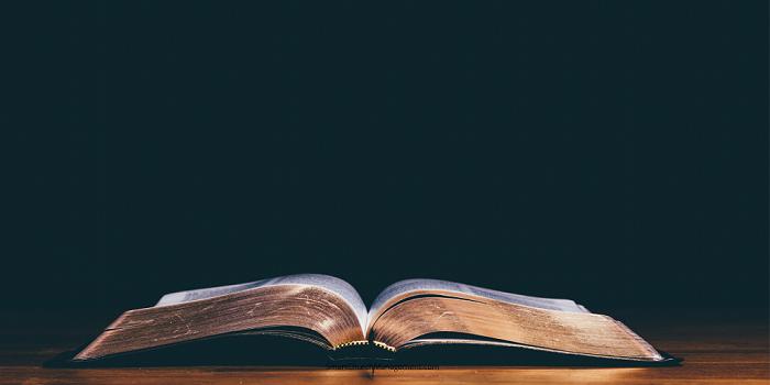 Ilocano Bible - New & Old Testament'yı PC'ye indirin | GameLoop Yetkilisi