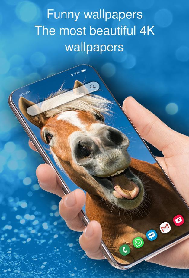 Download Funny wallpapers android on PC