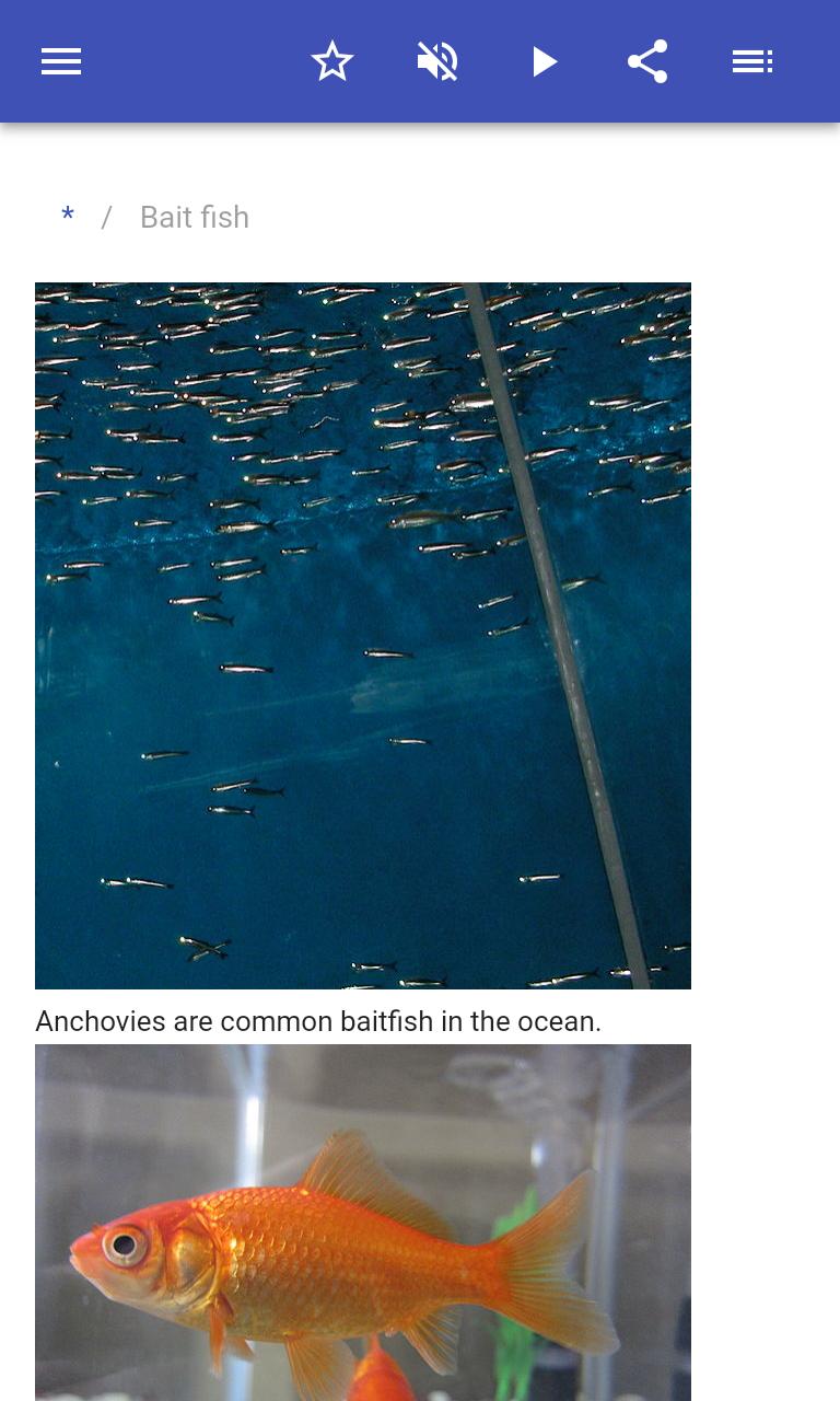 在電腦上下載Fishing lures | GameLoop官方網站