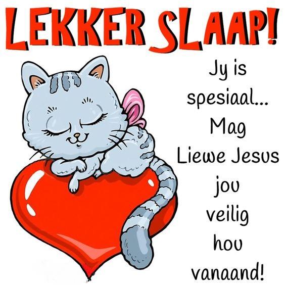 Descargar Goeie nag Lekker slapies en PC | GameLoop Oficial