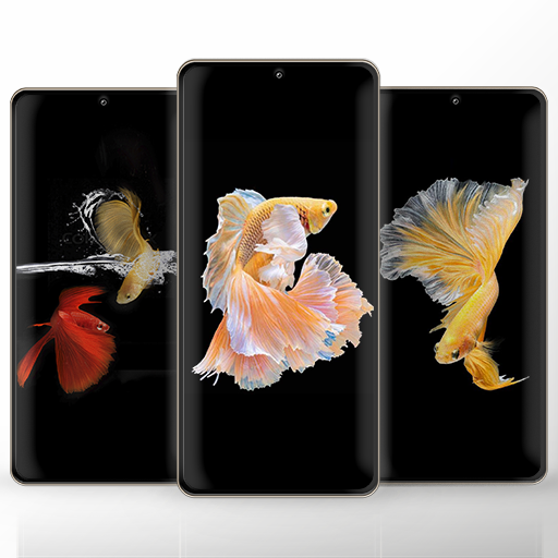 Download Betta Fish HD Wallpaper android on PC