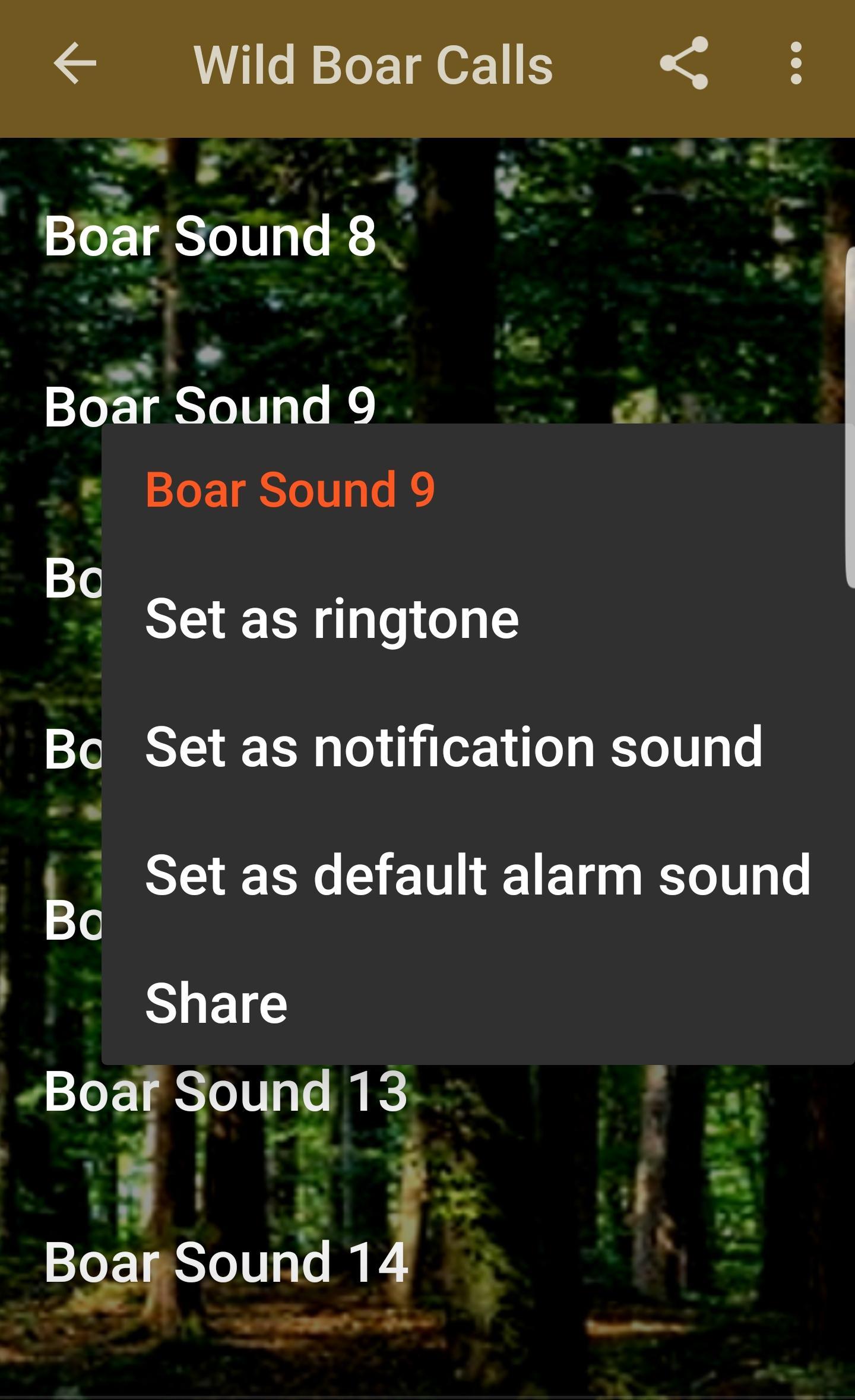 Descargar Wild Boar Hunting Calls en PC | GameLoop Oficial