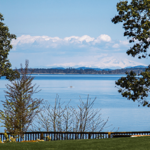Download Mill Bay Water Quality android on PC