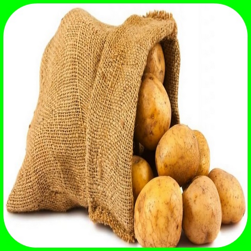 Download Potato Cultivation android on PC