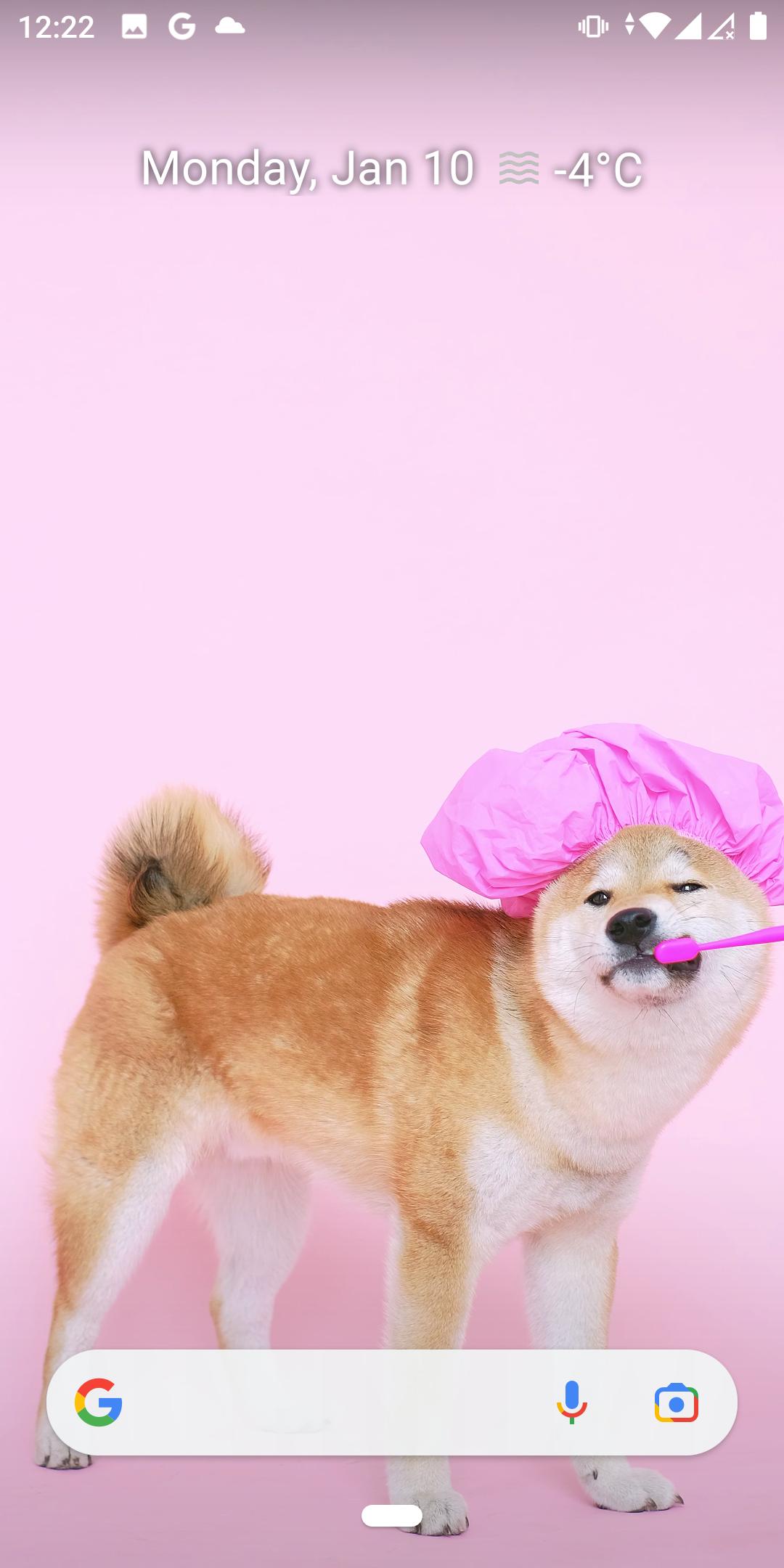 Shiba Inu Video Live Wallpaper'yı PC'ye indirin | GameLoop Yetkilisi