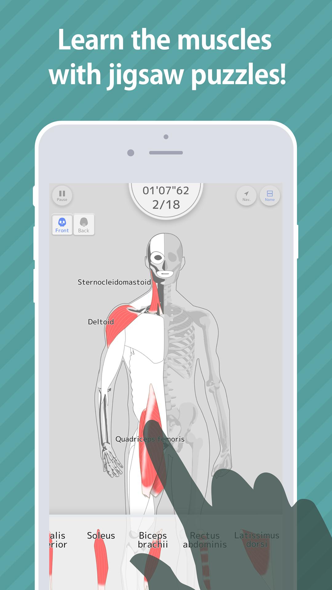 Download E. Learning Muscles Puzzle android on PC