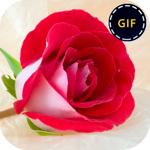 在電腦上下載Rose Gif | GameLoop官方網站