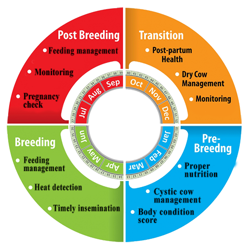 Download BLRI Breeding Manager android on PC