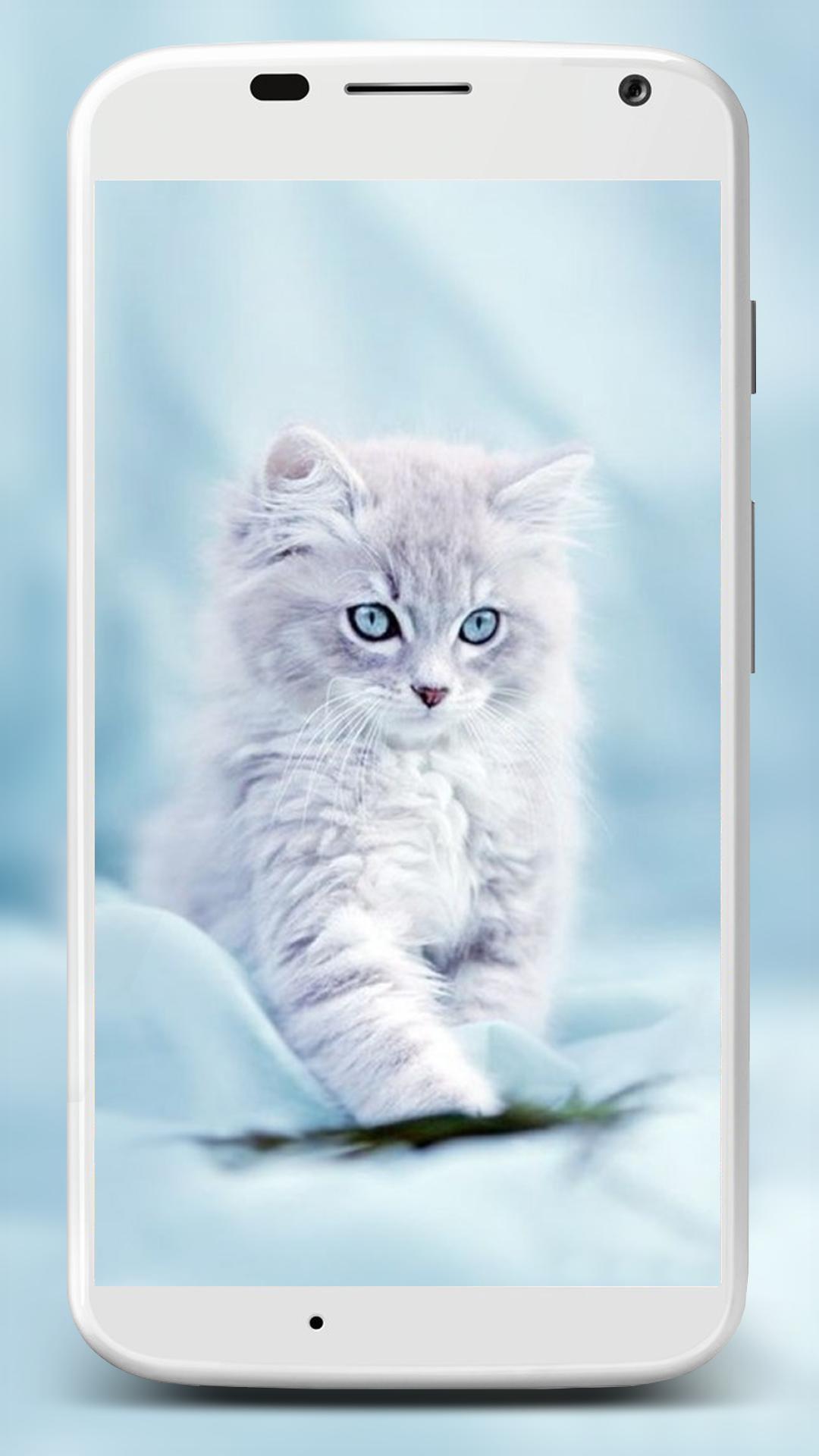 تنزيل Cute Cats Wallpaper على جهاز الكمبيوتر | مسؤول GameLoop