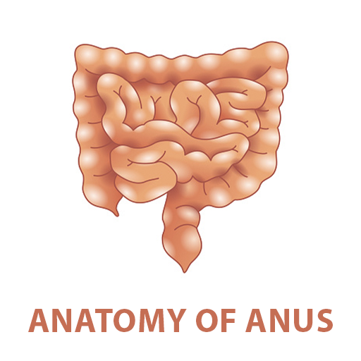 Download Anatomy of Anus android on PC