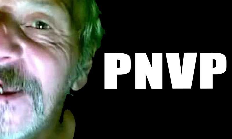 Download PNVP android on PC