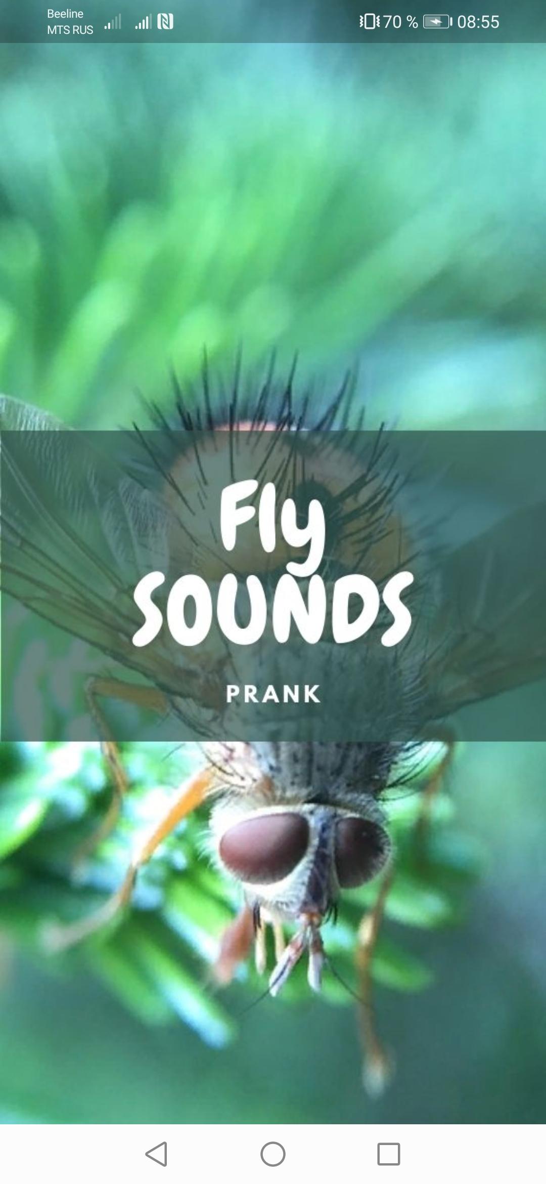 Download Fly Sounds and Wallpapers android on PC