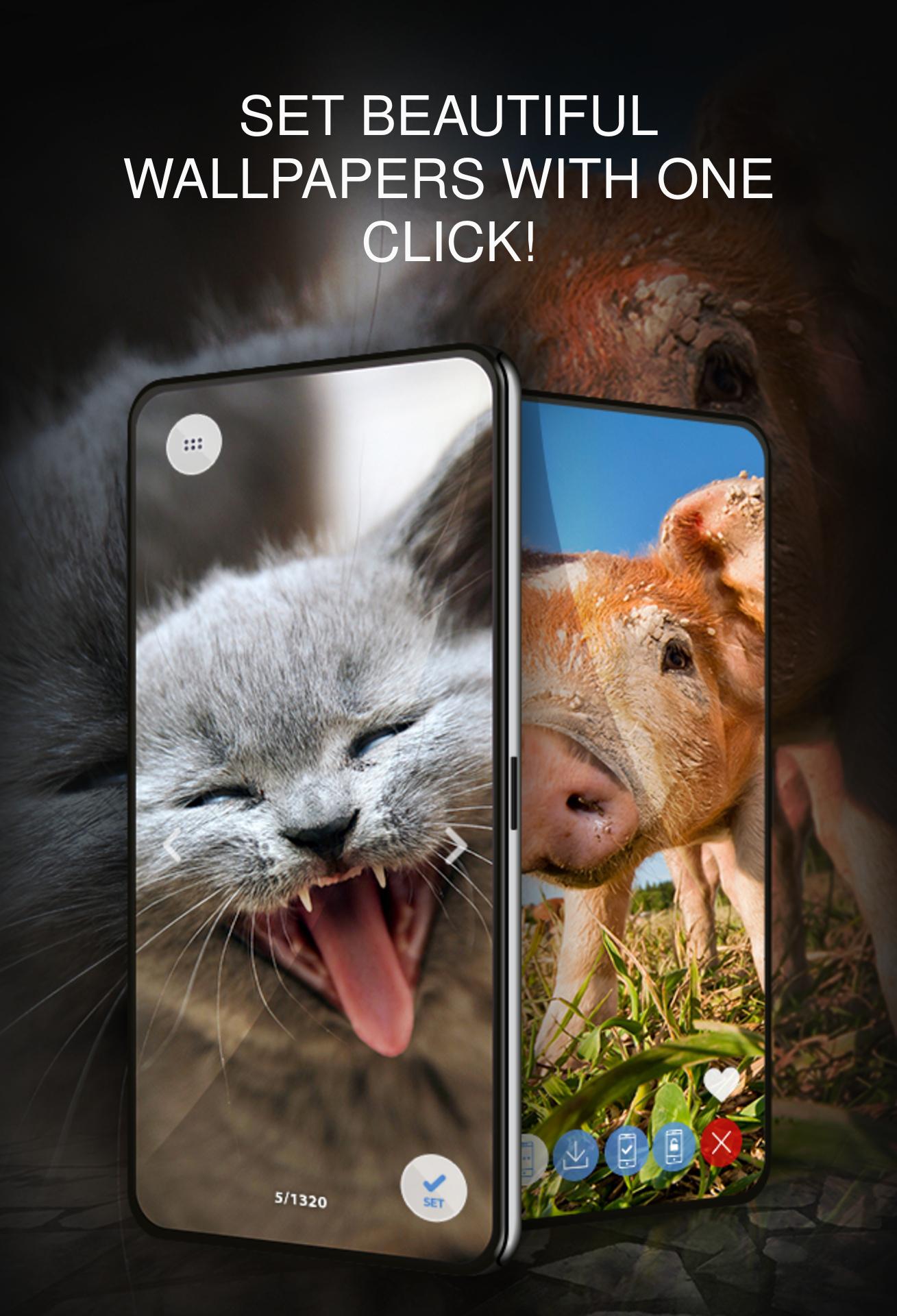 Descargar Your Funny Wallpapers 4K en PC | GameLoop Oficial