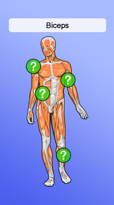 تنزيل Anatomy Game على جهاز الكمبيوتر | مسؤول GameLoop