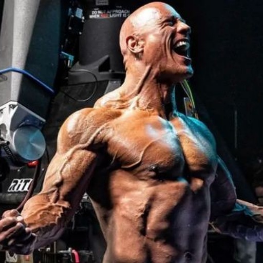 Download The Rock Wallpapers 4k HD android on PC