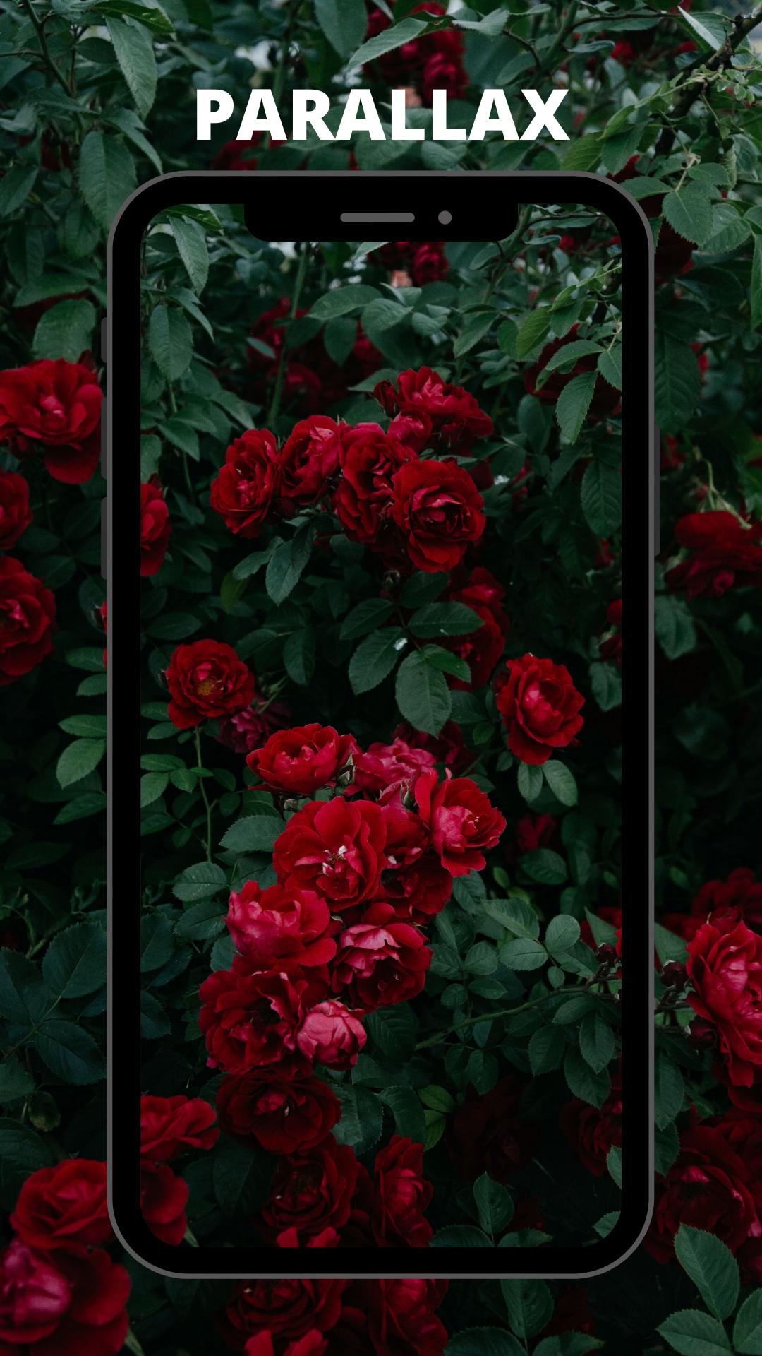 PCに4D Parallax Wallpaper-live,HDをダウンロードする| GameLoopオフィシャル