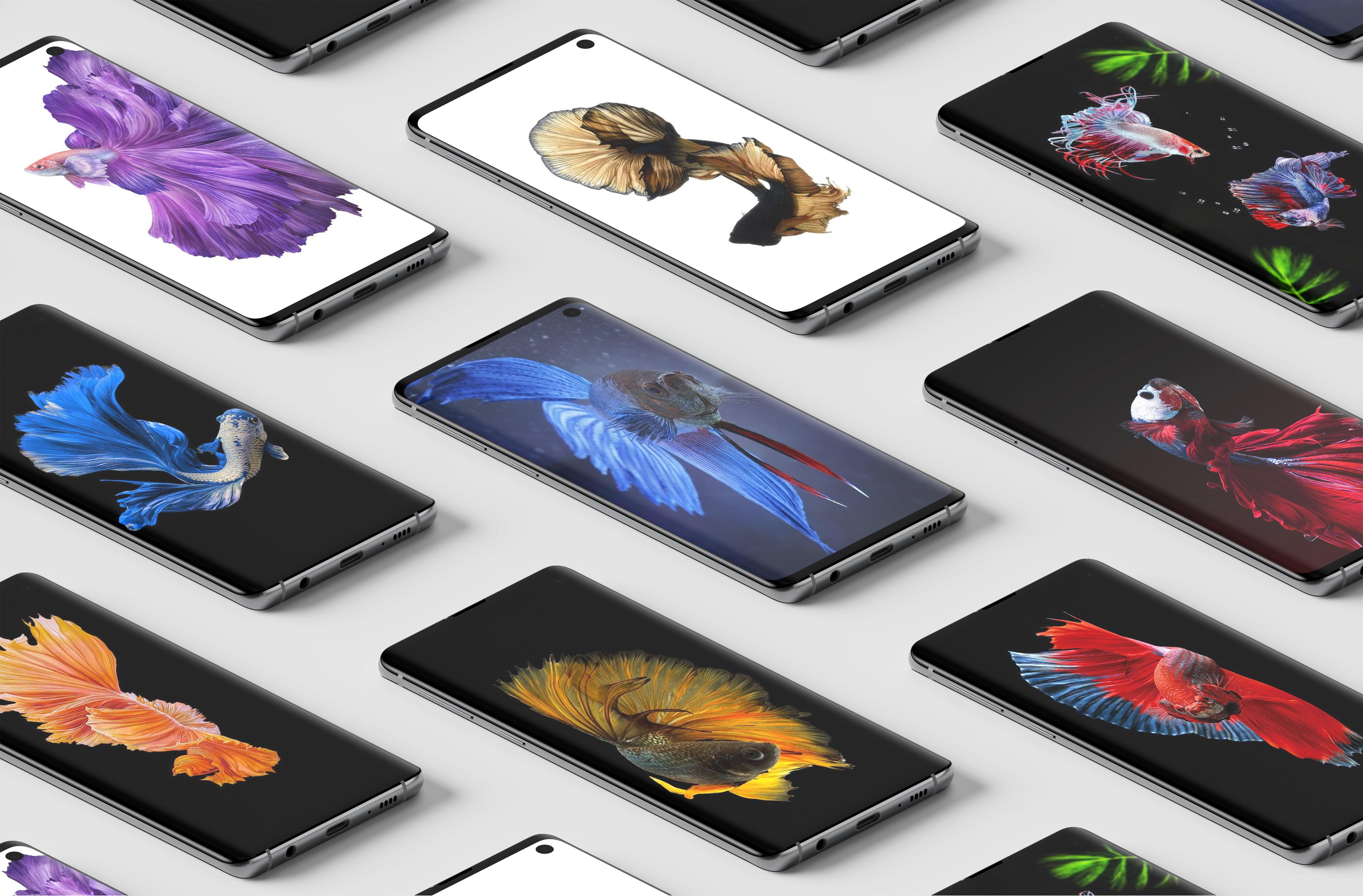 Descargar Betta Fish Wallpaper 4k en PC | GameLoop Oficial