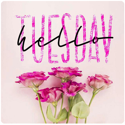 Download Enjoy your Tuesday, Happy Day android on PC