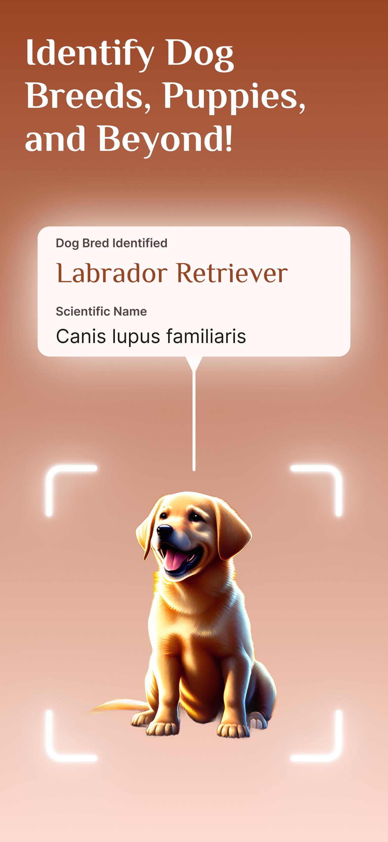 Download Dog Breed Identification android on PC