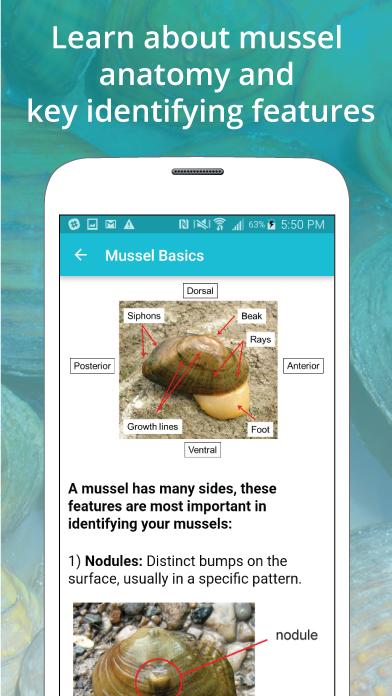 Скачать Clam Counter на ПК | Официальный представитель GameLoop
