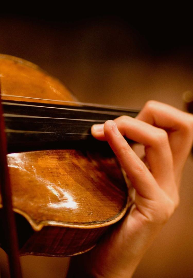 Unduh Suara Biola di PC | Resmi GameLoop